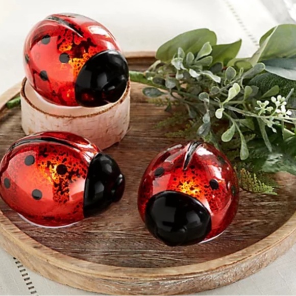 Valerie | Accents | Set Of 3 Illuminated Mercury Glass Lady Bugs By ...